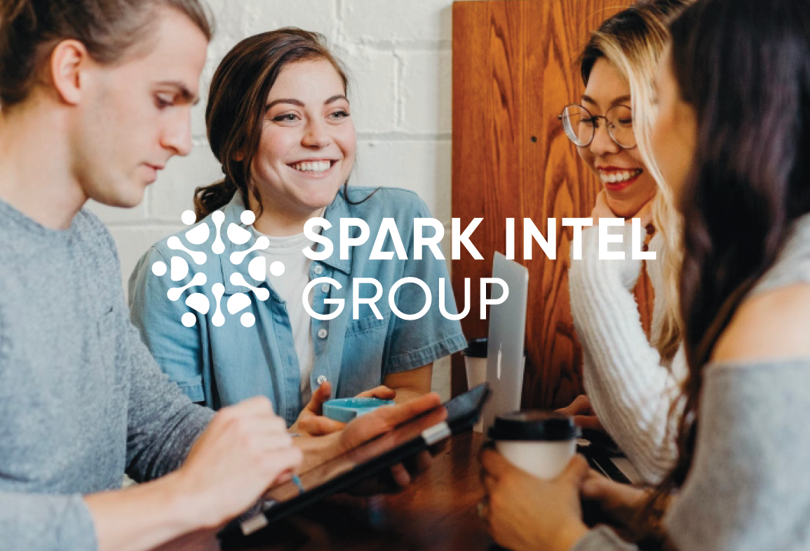 Spark Intel Group - Data Dashboards for Enterprise Businesses
